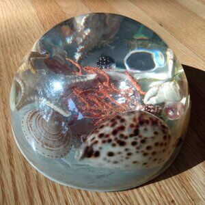 Vintage | Accents | Large Resin Paperweight Vomit Lucite Embedded Sea ...